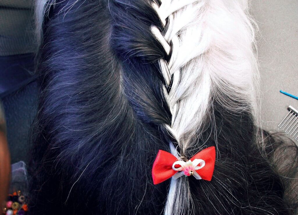 Braiding - Groomer to Groomer