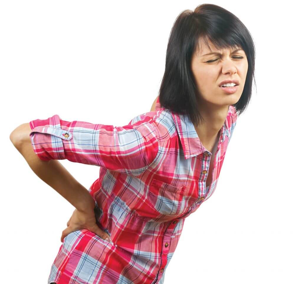 Save Your Back - Groomer to Groomer