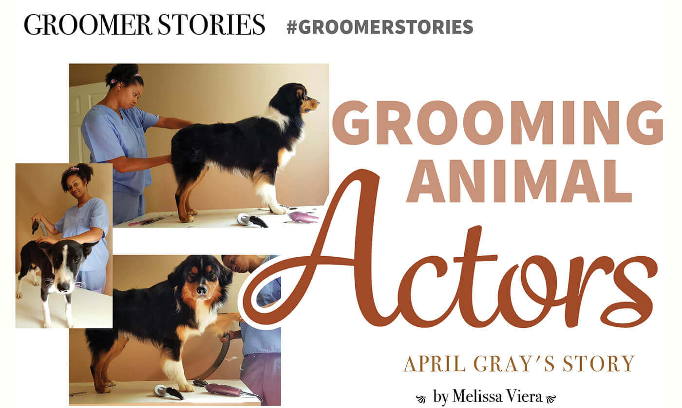 Grooming Animal Actors: April Gray's Story - Groomer to Groomer