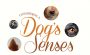 Considering A Dog's Senses - Groomer to Groomer