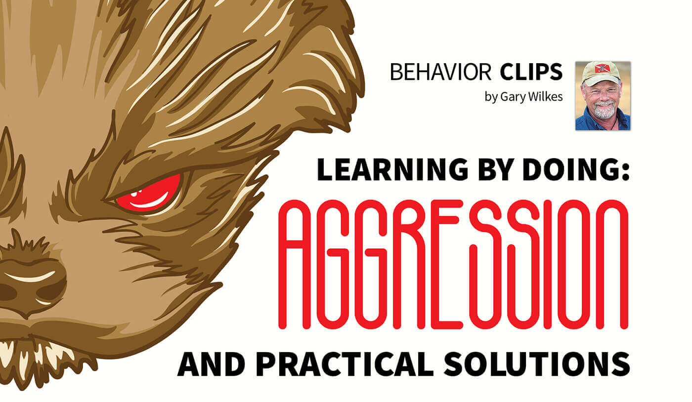 Learning By Doing: Aggression And Practical Solutions - Groomer to Groomer