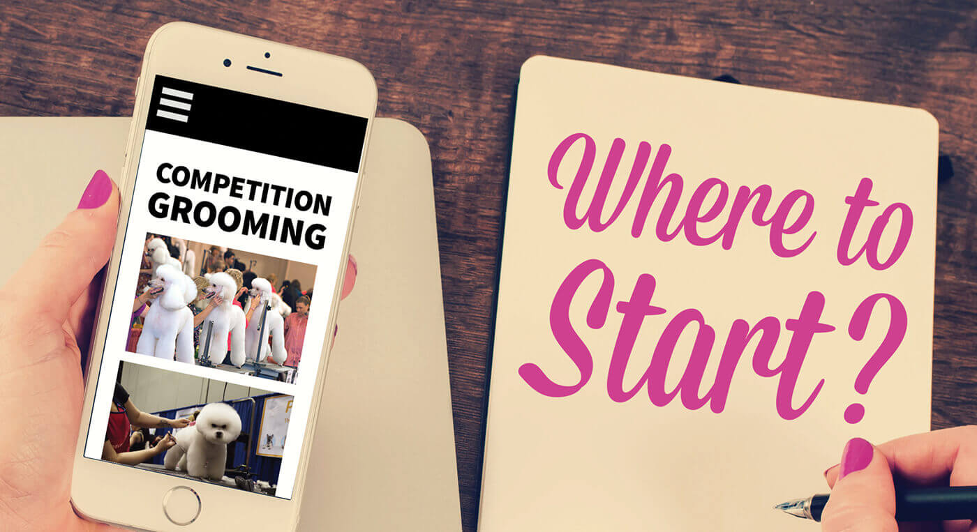 Competition Grooming: Where To Start? - Groomer to Groomer