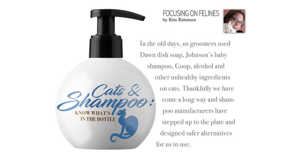 Cats & Shampoo: Know What's In The Bottle - Groomer to Groomer