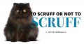 To Scruff or Not to Scruff - Groomer to Groomer