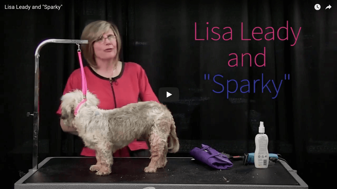 Lisa Leady and "Sparky" - Groomer to Groomer