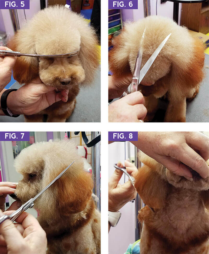 Fusion Style: Double Stacked Ear - Groomer to Groomer Magazine