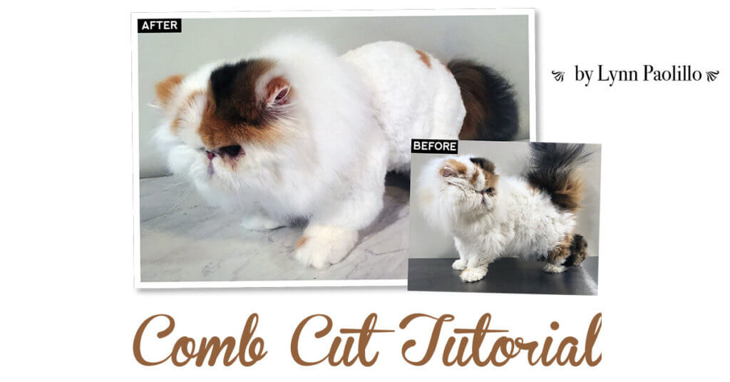 Comb Cut Tutorial - Groomer to Groomer Magazine
