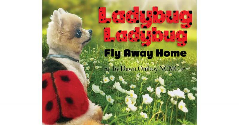 Ladybug Ladybug, Fly Away Home - Groomer to Groomer Magazine