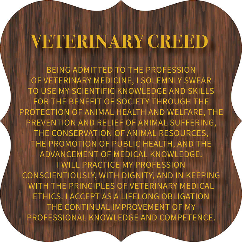 veterinary-creed - Groomer to Groomer